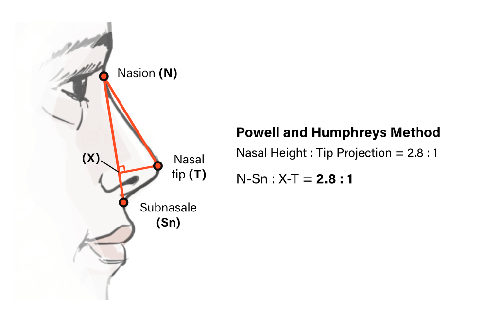 Powell and Humphreys Method